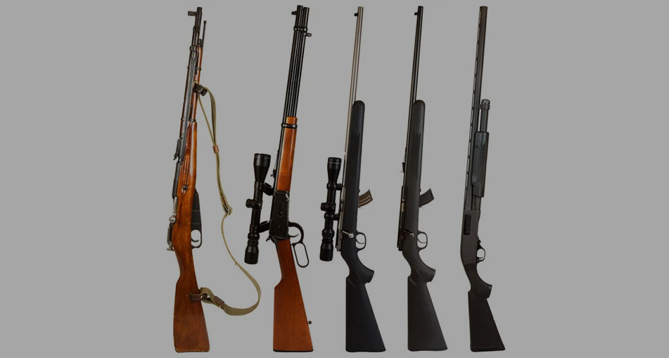 DEAD NUTS FIREARMS LLC