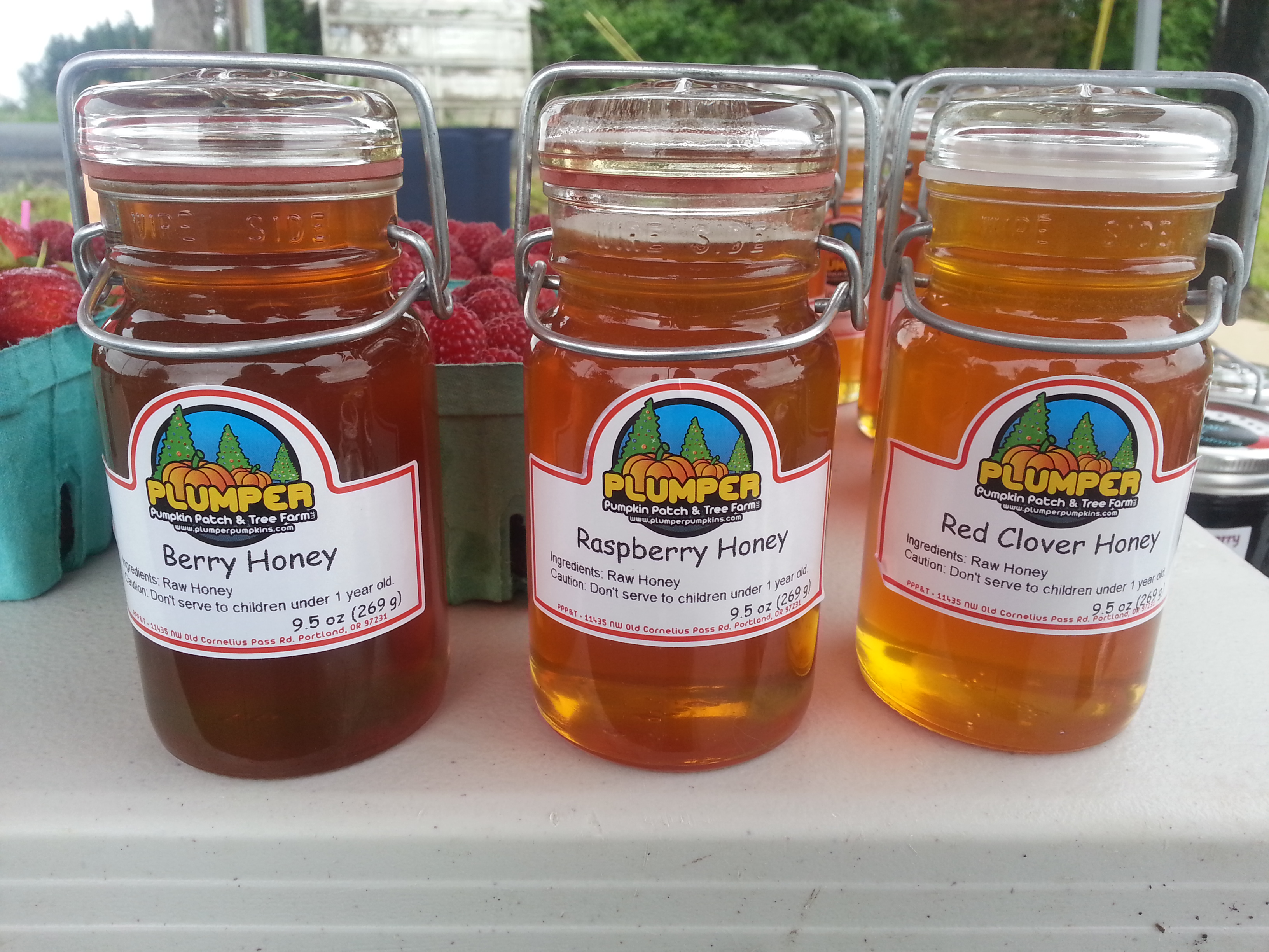 FARMPAGE-Plumper-Pumpkins